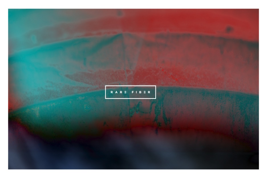 Announcing Rare Fiber, A New Kind Of Consultancy Deeply Rooted In ...